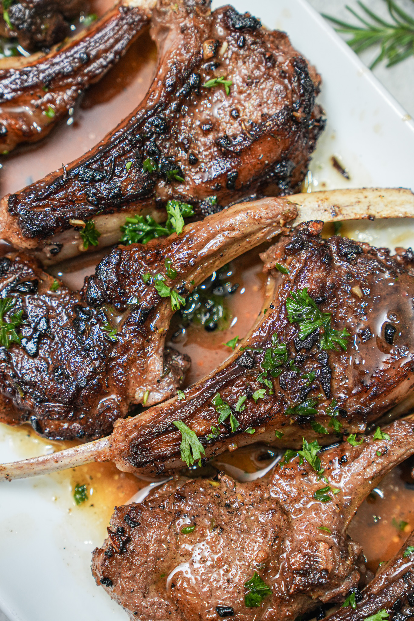Garlic and Herb Pan-Seared Lamb Chops - Off The Chain Kitchen